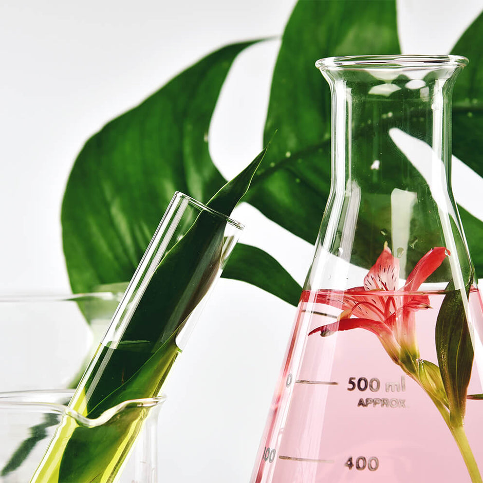 Natural vs. Chemical Makeup: Key Differences, Benefits, and Expert Tip